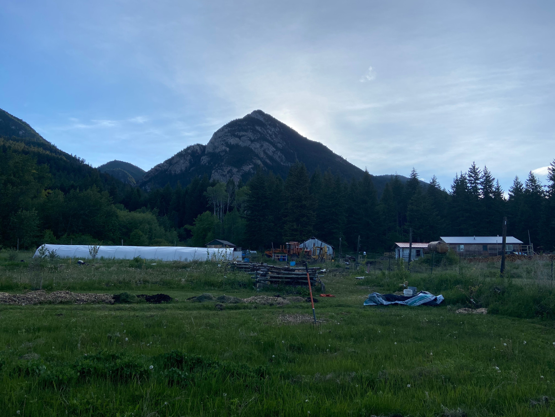 Home | BlueEarthForestFarm