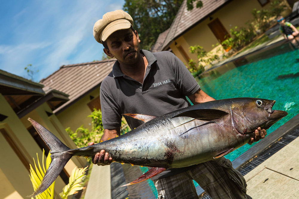 Fresh Sushi & Sashimi – From the Ocean Straight to your Plate!
