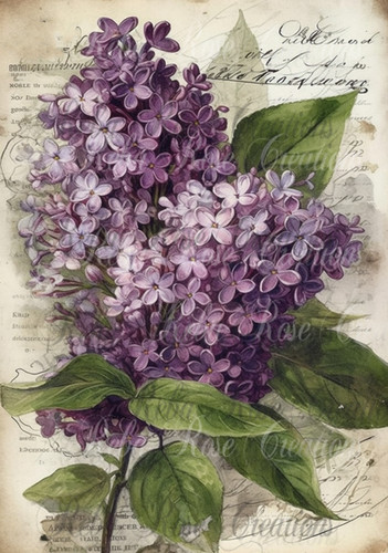 0387 - Lovely Lilacs | Reba Rose CreationsA4 Rice Paper 11.75 x 8 ...