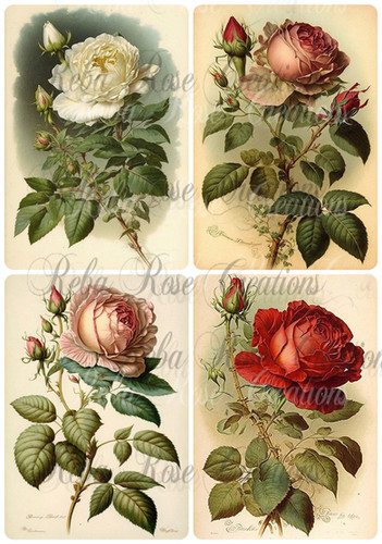 0312 - Vintage Roses | Reba Rose CreationsA4 Rice Paper 8.2 x 11.745 ...