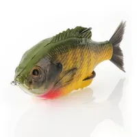 DC Slide Gill | Clark's Outfitters