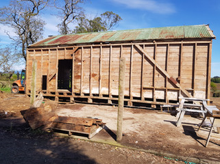 Woolshed Bar | hopnotic-brewery