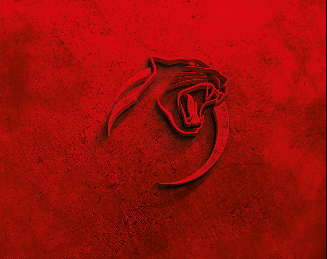 Just Power | MERIDYEN GIDA