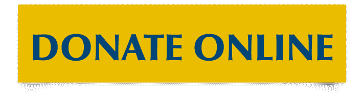 Global Sight Solutions | charity | eyesight | blindness | cataracts