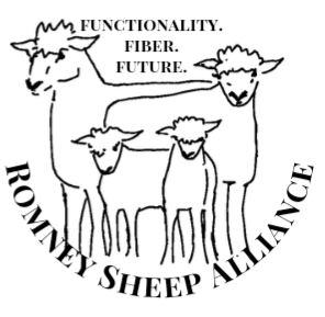 Breed Standard | Romney Sheep Alliance