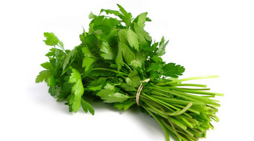 Tempero Verde | Safra Hortifruti