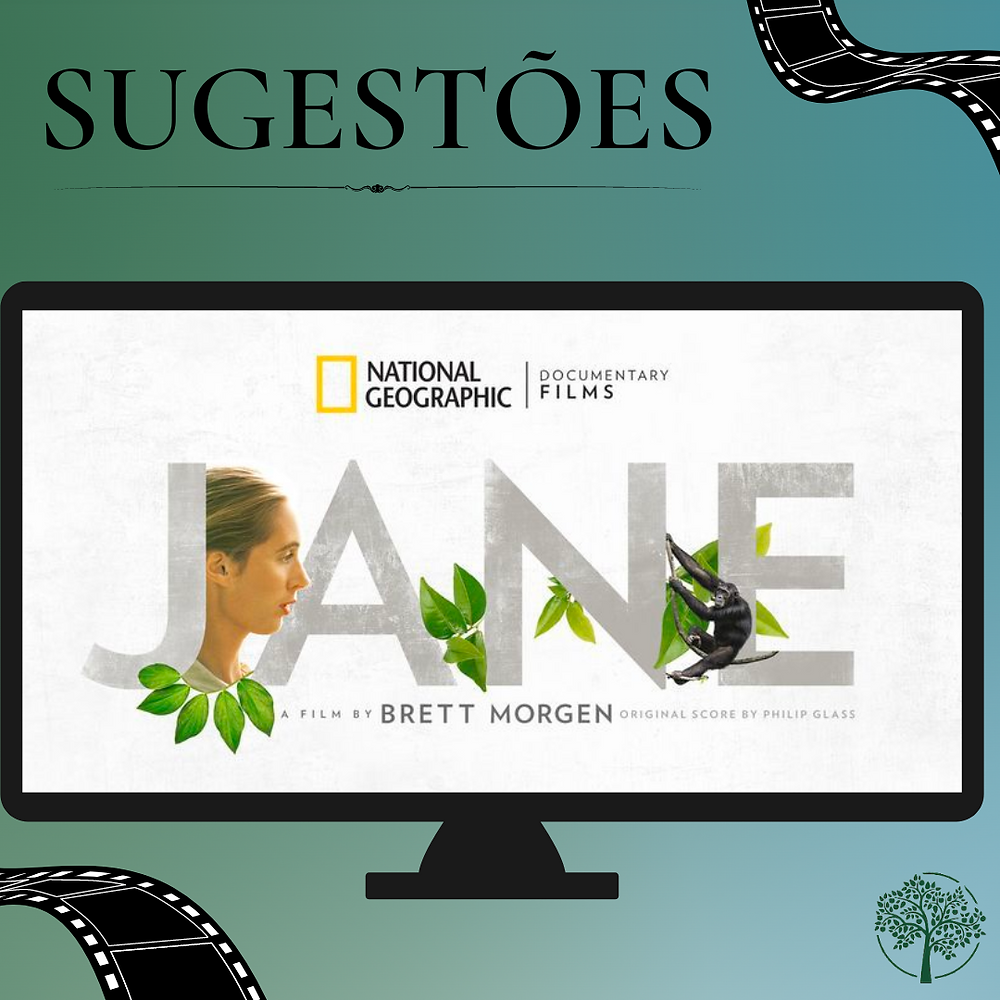 Jane: o documentário sobre a vida de Jane Goodall