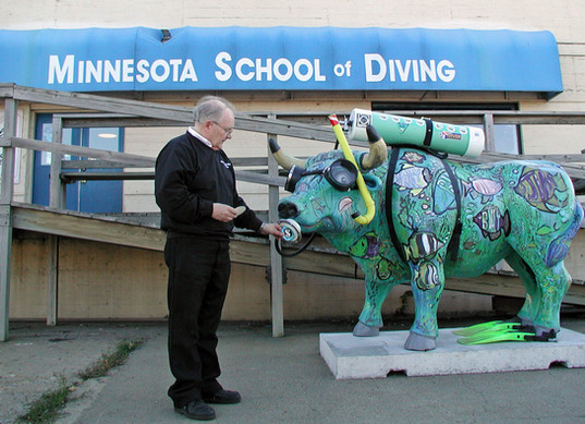 Our Story | MN School of Diving