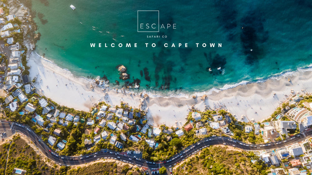 Escape is now in the Cape.