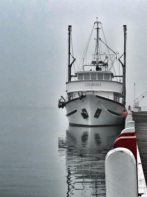 Fishing | Visit Port Albert Victoria