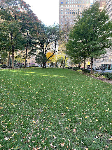 FRS Launches Major Phase of Lawn Restoration Project