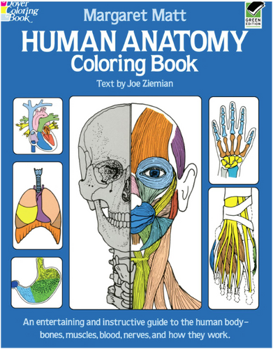 Anatomy Coloring Book | MedicalCodingbyJen