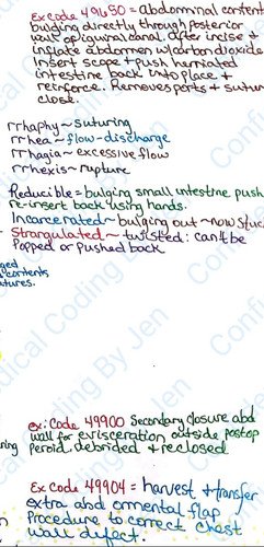 Digestive Notes section medical coding billing notes 60 pages ...
