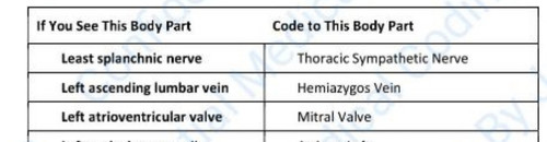 Body Part Key If You See This Body Part Code to This Body Part ...