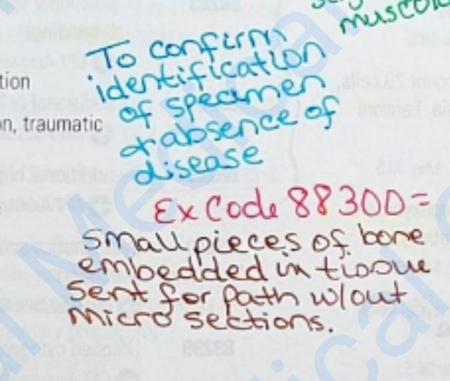 Mastering Medical Coding: Enhancing Your CPT Book with Comprehensive ...