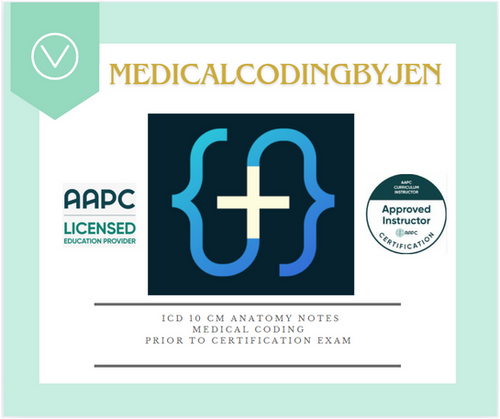 ICD 10 CM Anatomy Notes | MedicalCodingbyJen