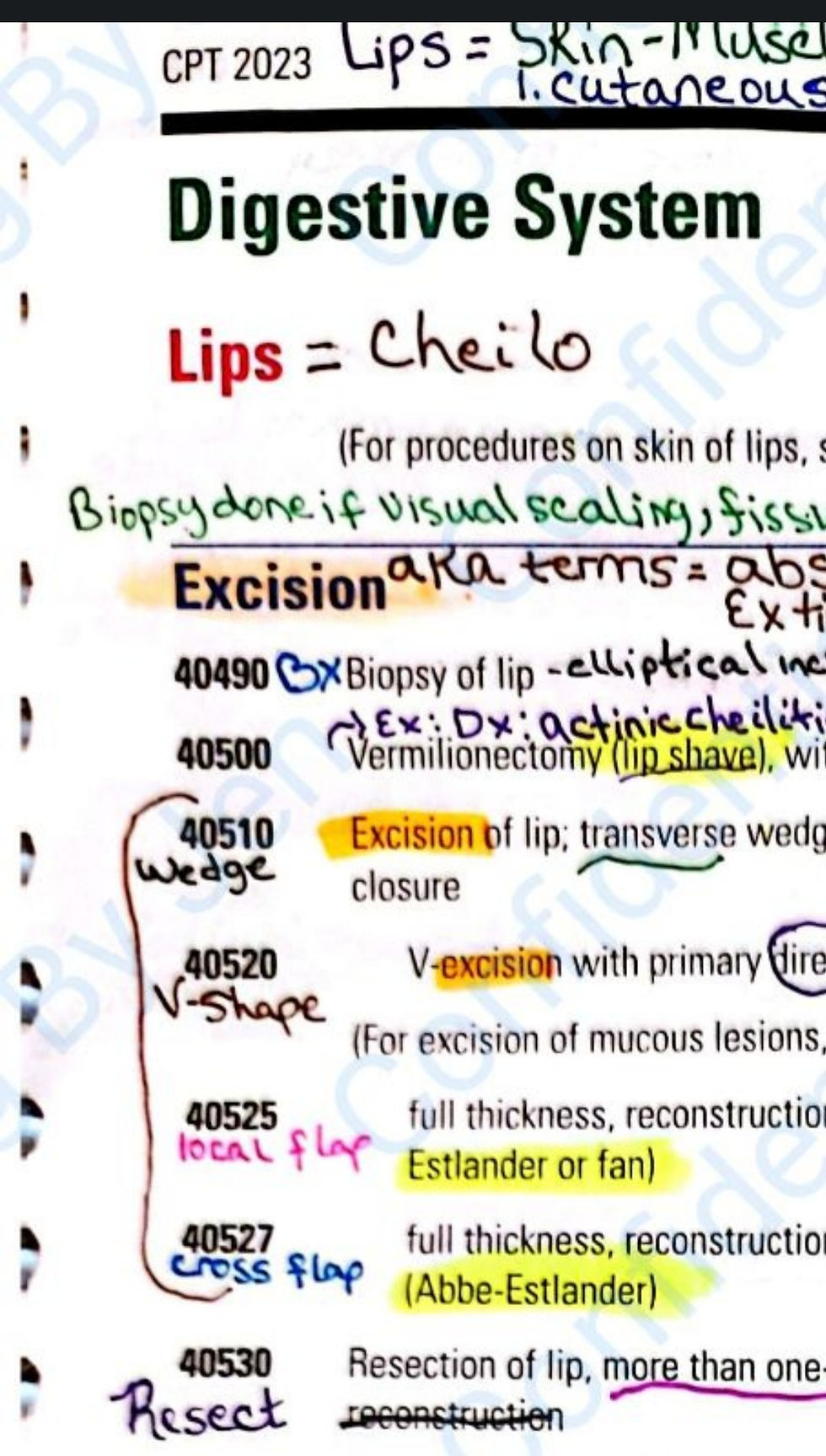 Mastering Medical Coding: Enhancing Your CPT Book with Comprehensive ...