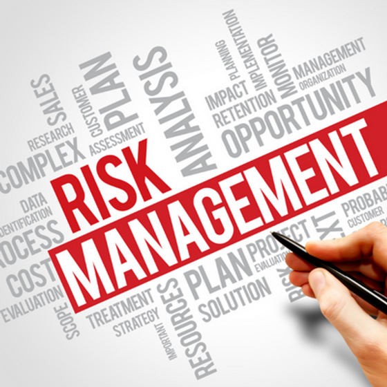 What is Risk Management?