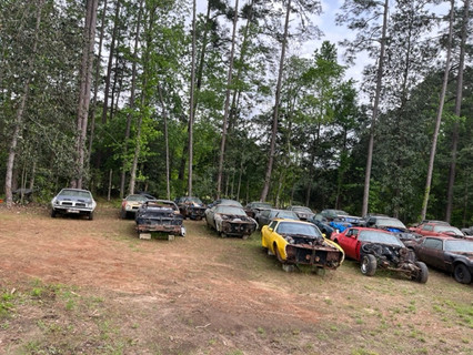 Bama Trans Am and Firebirds | Ozark Alabama | Buying and Selling