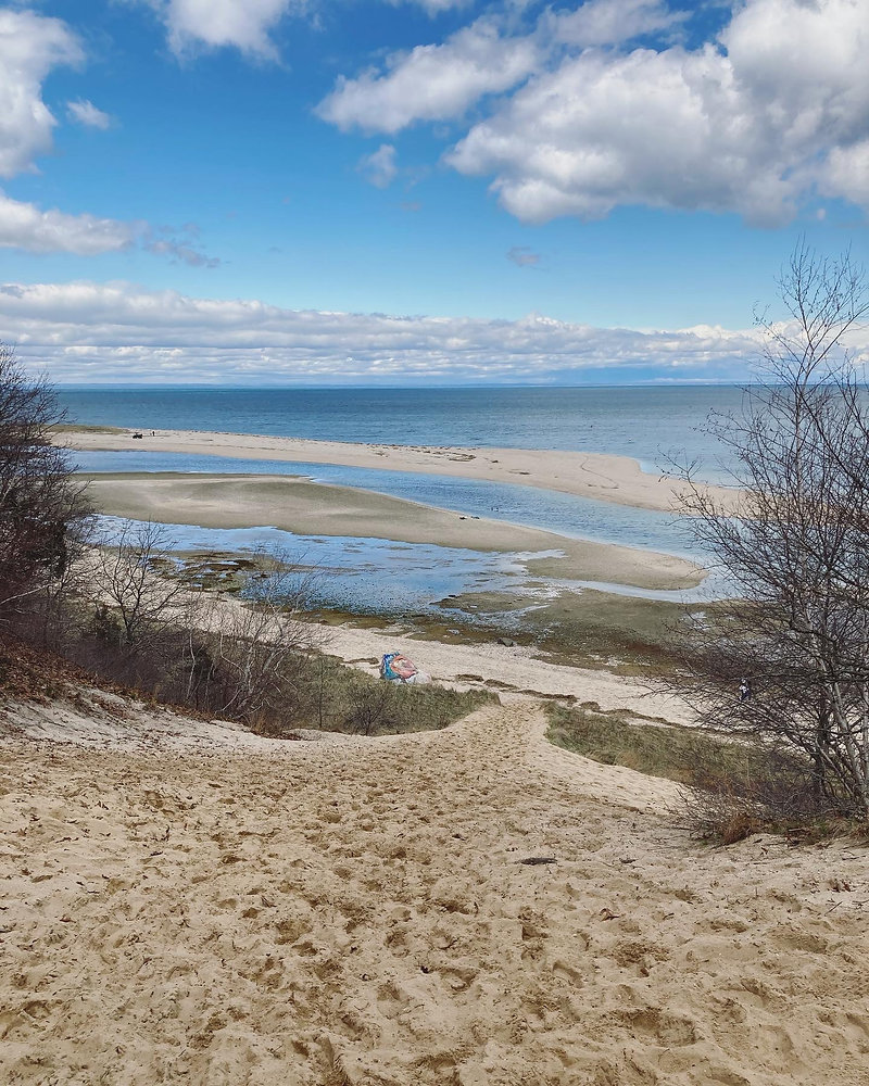 Kings Park Bluff