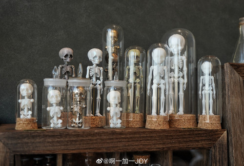 Mini Skeleton Specimen by JOY Doll | Moonlight BJD House