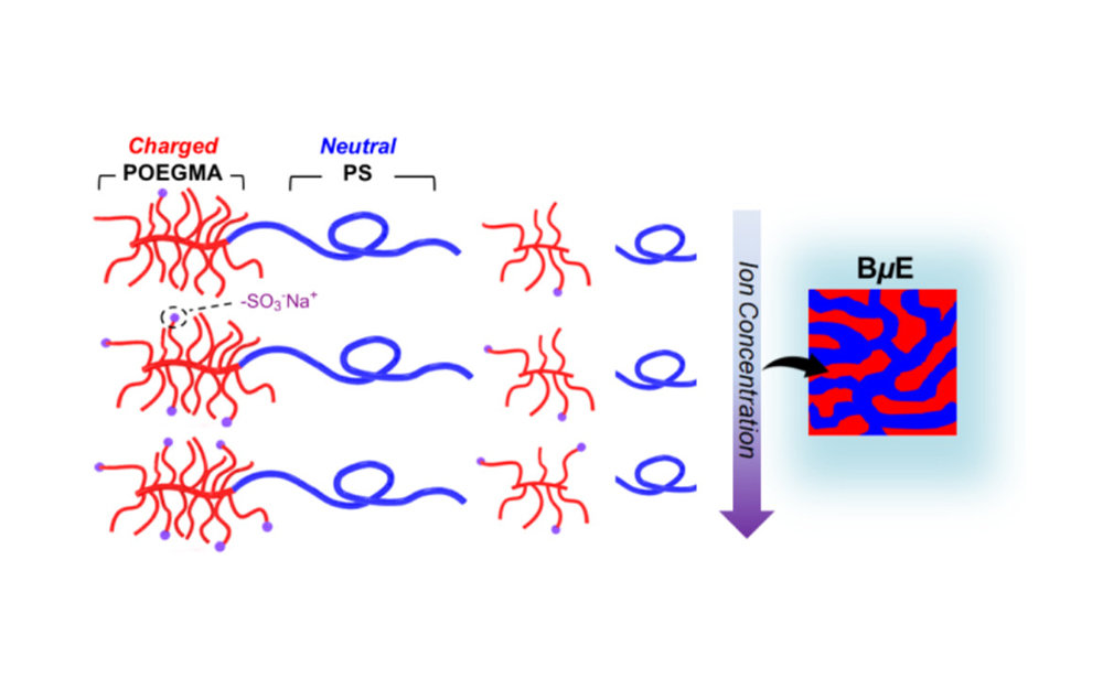 Effect of Ion Concentration on the Formation of Bicontinuous ...