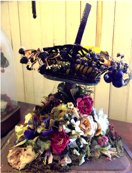 The Under-glass Menagerie. The Height of Fashion: Victorian Parlor Domes