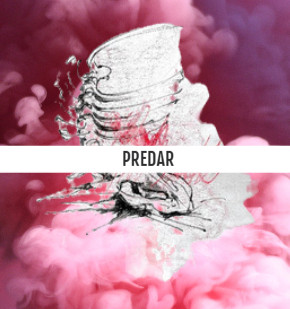 📘 Predar | Revista Mariné