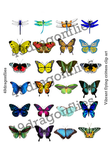Vibrant flying critters clip art | 49dragonflies
