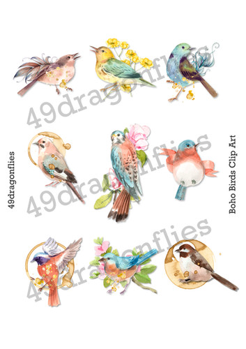 Boho Birds Clip Art | 49dragonflies