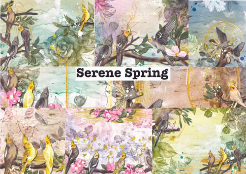 Serene Spring Backgrounds US LETTER SIZE | 49dragonflies
