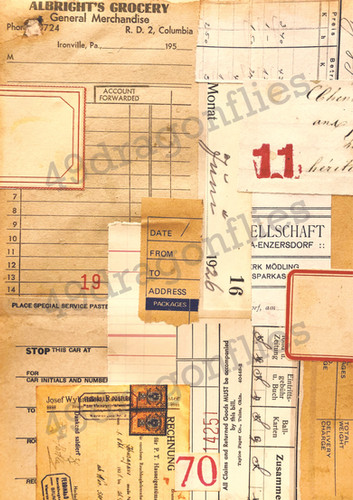 Master Boards Collaged | 49dragonflies