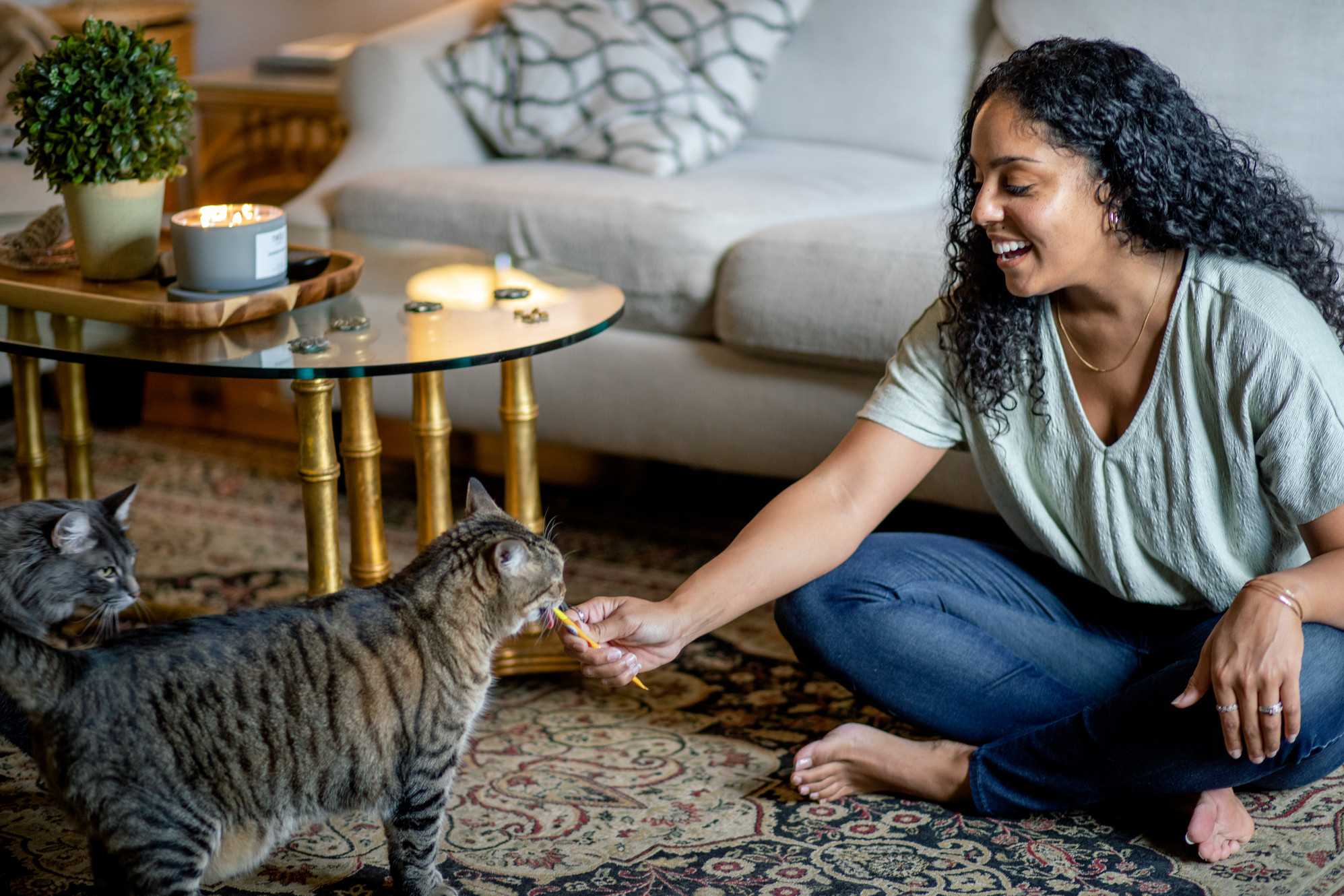 Coastal Cat Care | Professional Cat Sitting