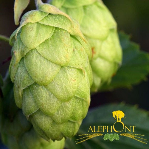 US COLUMBUS HOP PALLETS | Alephont