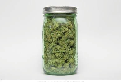 43 Gram Bundle | Donna And Doug