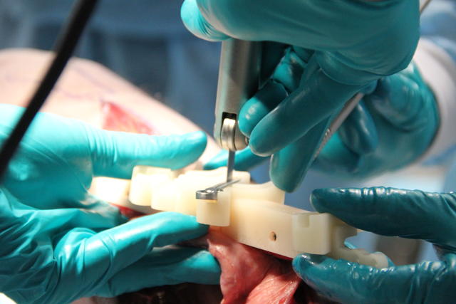 VSP Technology | 3D Middle East LLC