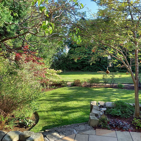 Garden Consultation | Bullfinch Garden Des