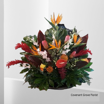 Tropical Surprise | My Florist