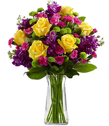 True Colors | My Florist