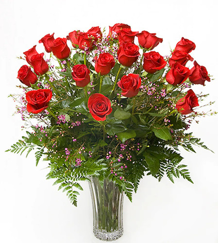 2 Dozen Roses | My Florist