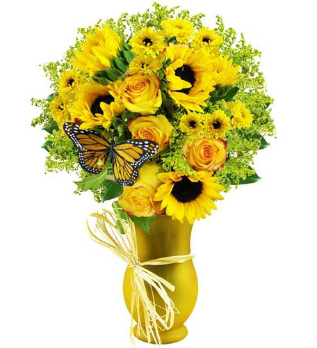 Solid Gold | My Florist
