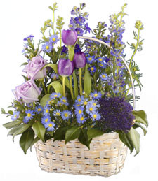 Purple Magic | My Florist