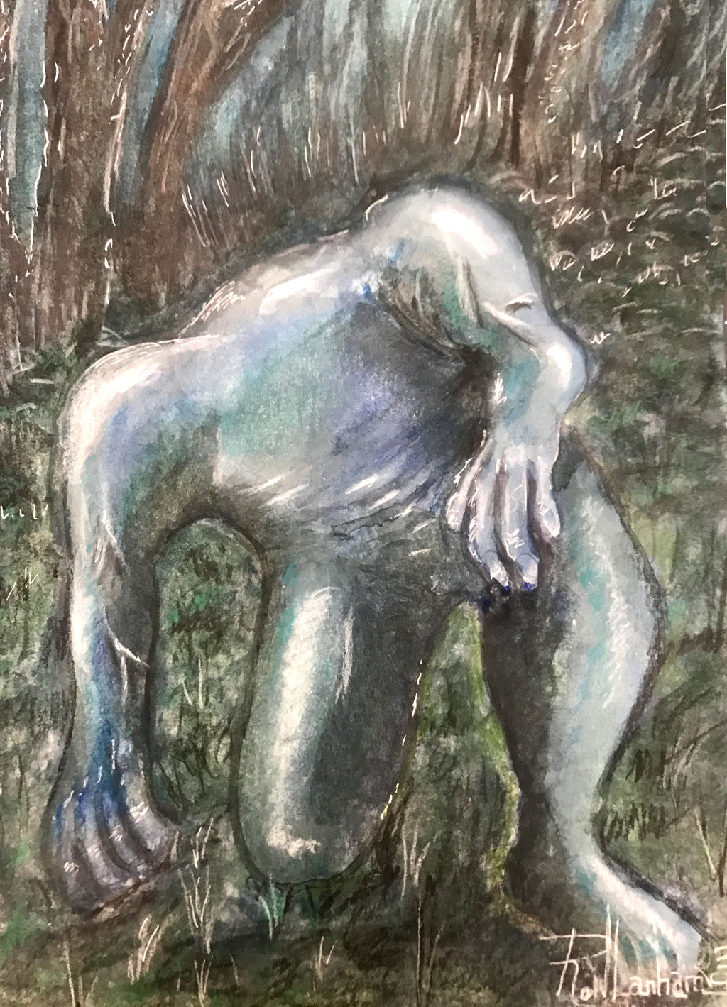 Wild Weird Blog Wild Weird Wv