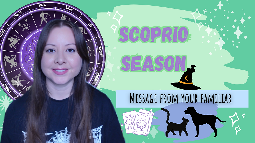 The Energy of Scorpio Season and your Pet