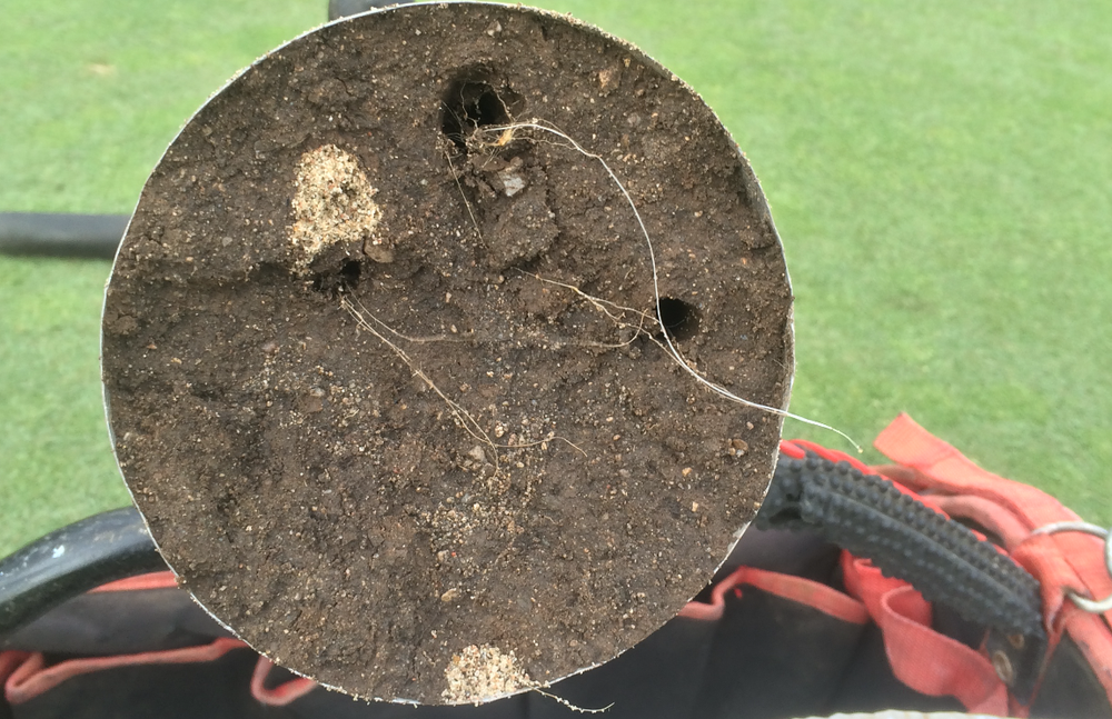 Deep Tine Aeration