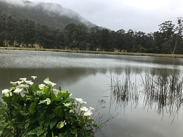 Bio | Robert Constable