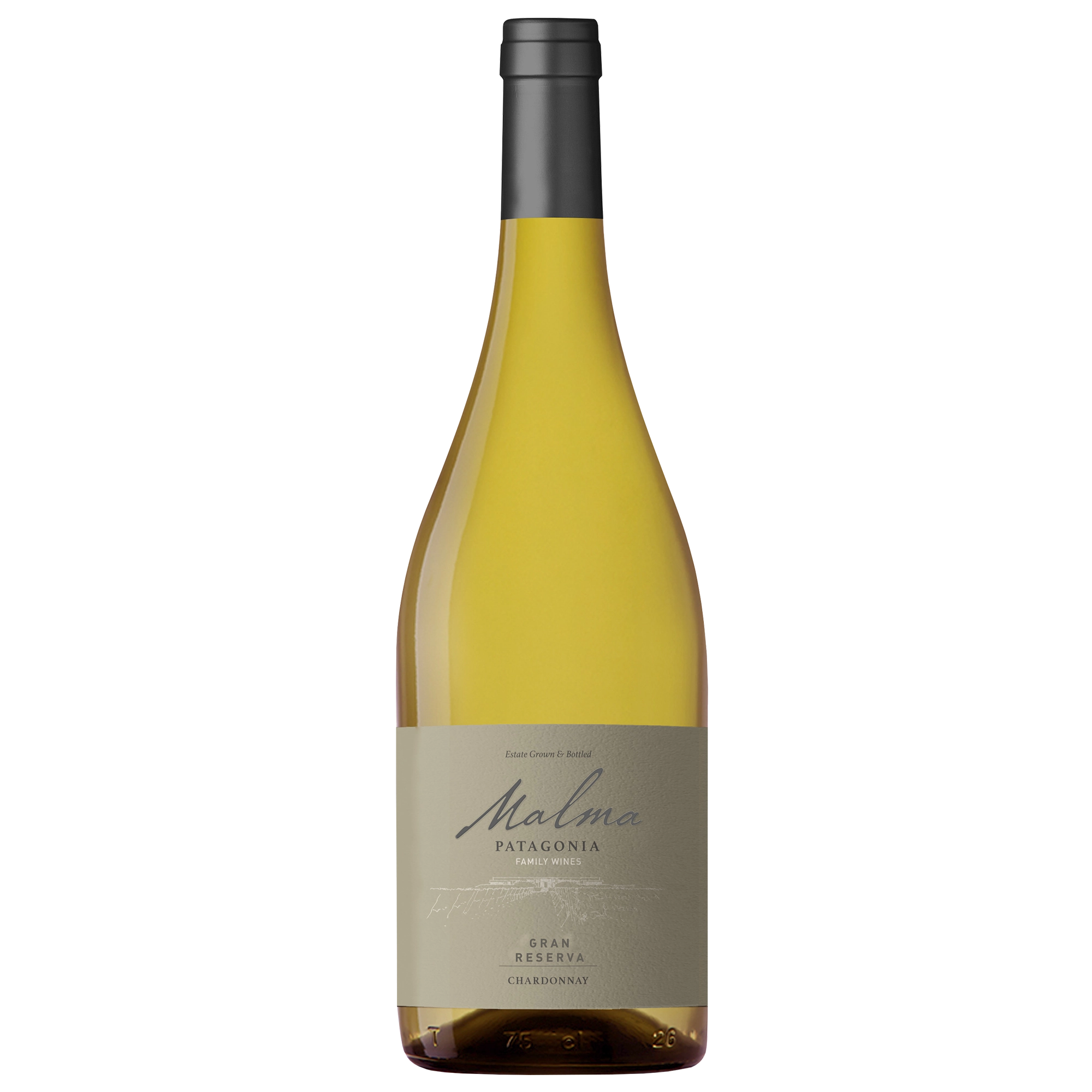 Malma Gran Reserva Family Wines Chardonnay | Bodega Malma | Vinhos do Mundo