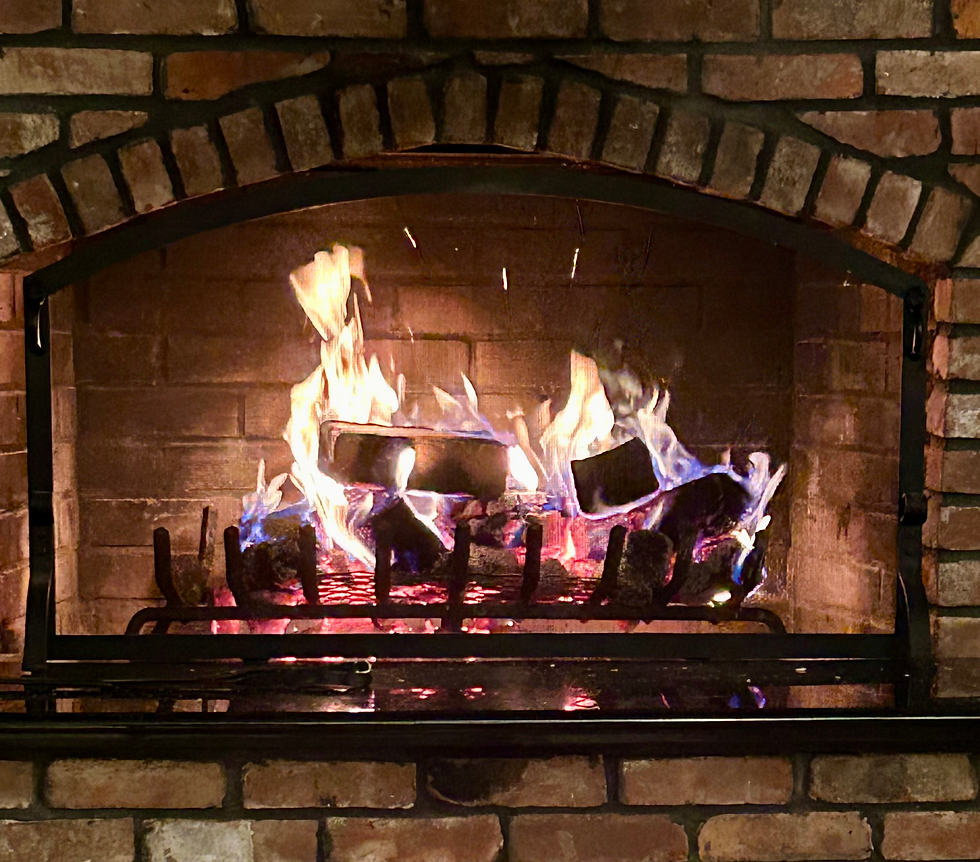 LumberJack Joe | Kiln Dried | Long Island, New York, USA