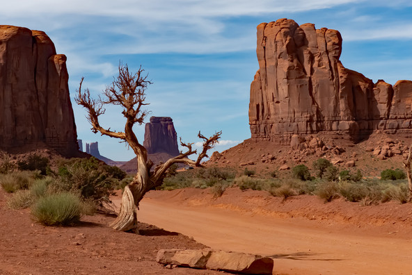 Winning Photos | wps-photo