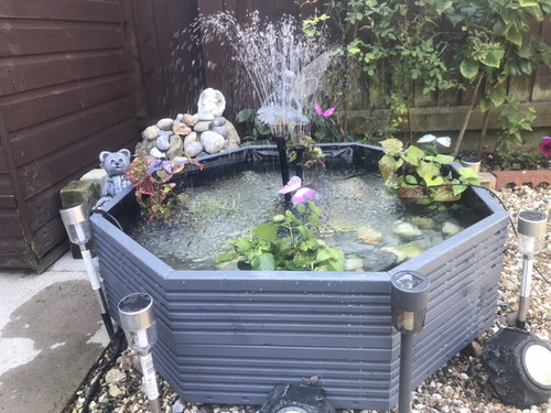 Simple & Stylish Low-level Octagonal Pond 80x80x27h cm in Grey | Dad's ...